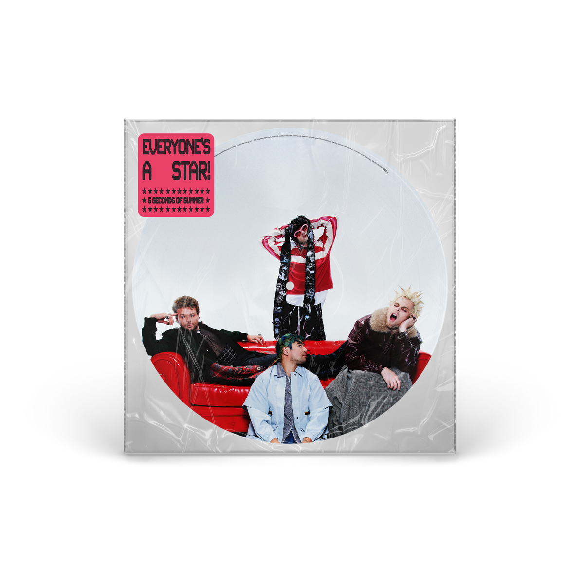 Everyone’s A Star! Exclusive Picture Disc - 5 Seconds of Summer ...